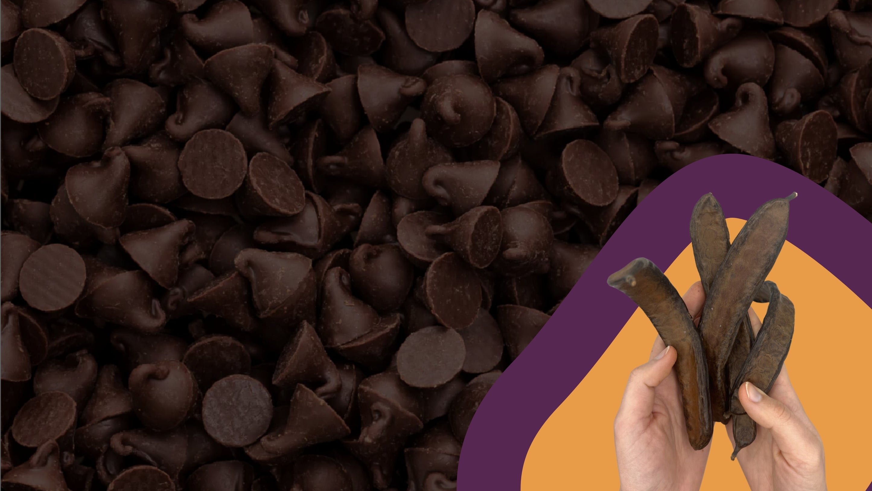 Choruba alternativa al cioccolato da carruba italiana senza cacao